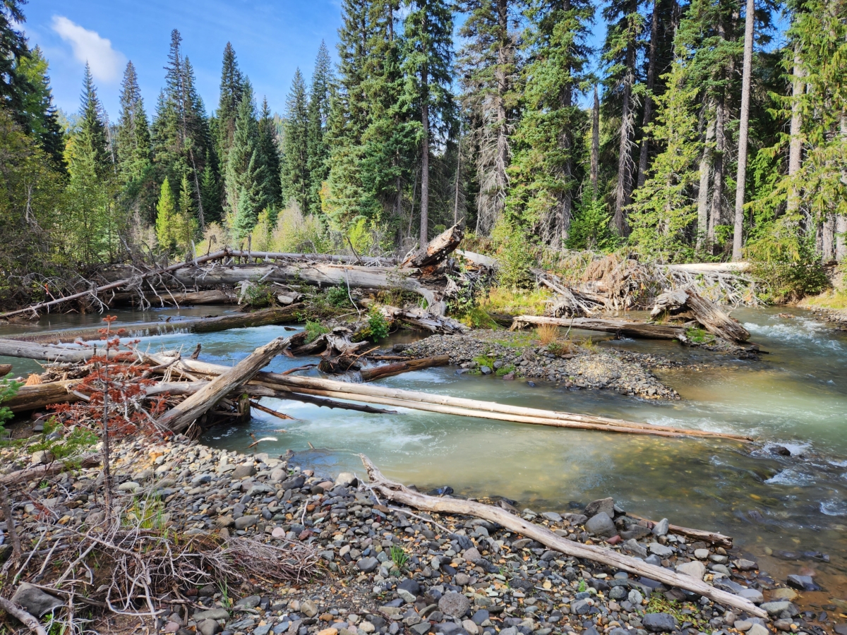 Home - Yakima Basin Fish and Wildlife Recovery Board