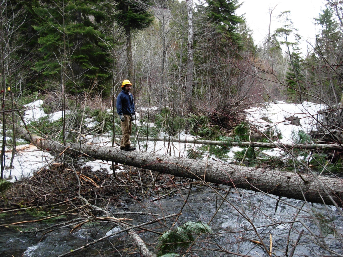 Projects in Progress - Yakima Basin Fish and Wildlife Recovery Board